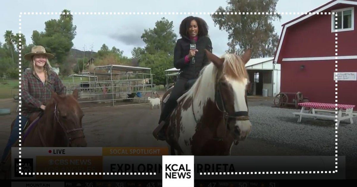 Susie Q Ranch: SoCal Spotlight - CBS Los Angeles