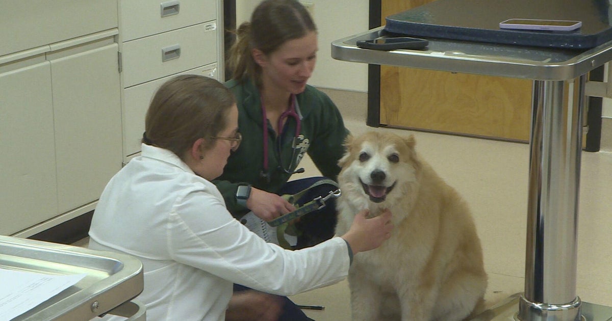 Colorado State University aims to fill shortage of veterinarians with ...