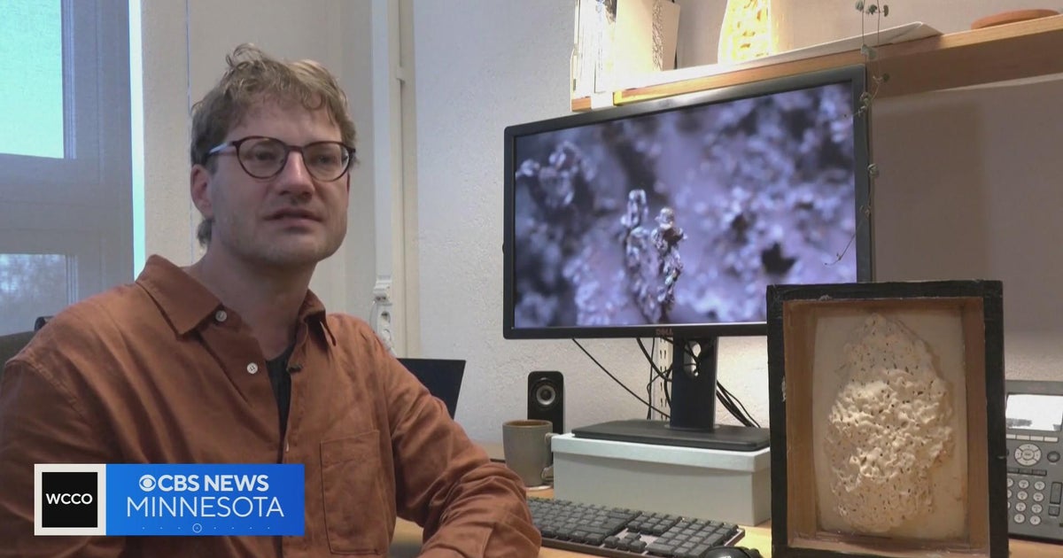 Here’s what termites can teach us about sustainable architecture - CBS ...