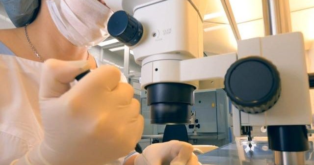 How Alabama's IVF court ruling may halt process for hopeful parents ... How Alabama's IVF court ruling may halt process for hopeful parents ...