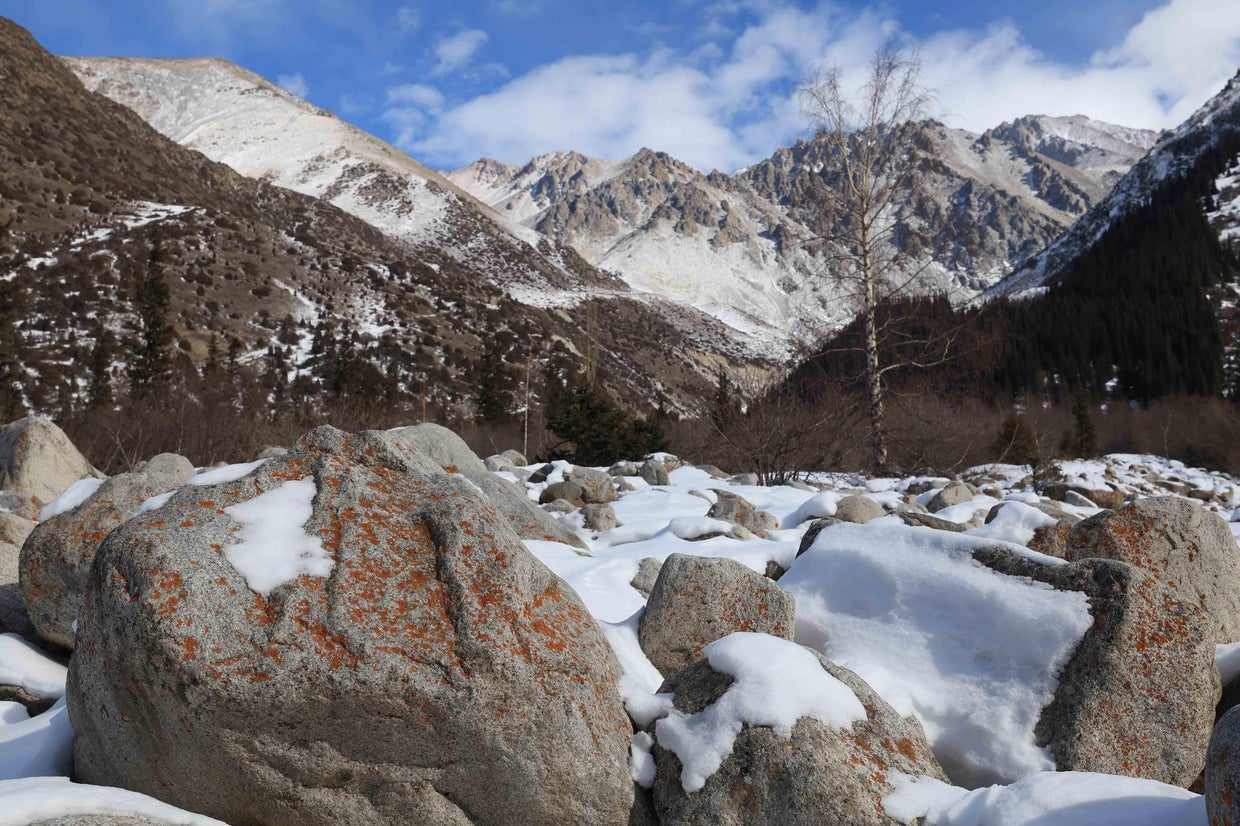 Avalanche kills 4 skiers in Kyrgyzstan visiting from Czech Republic and ...