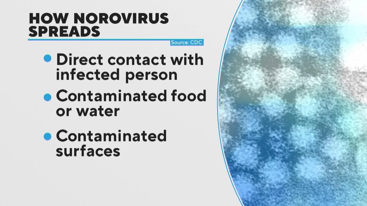 Doctors encourage hand-washing more often amid spike in norovirus cases ...