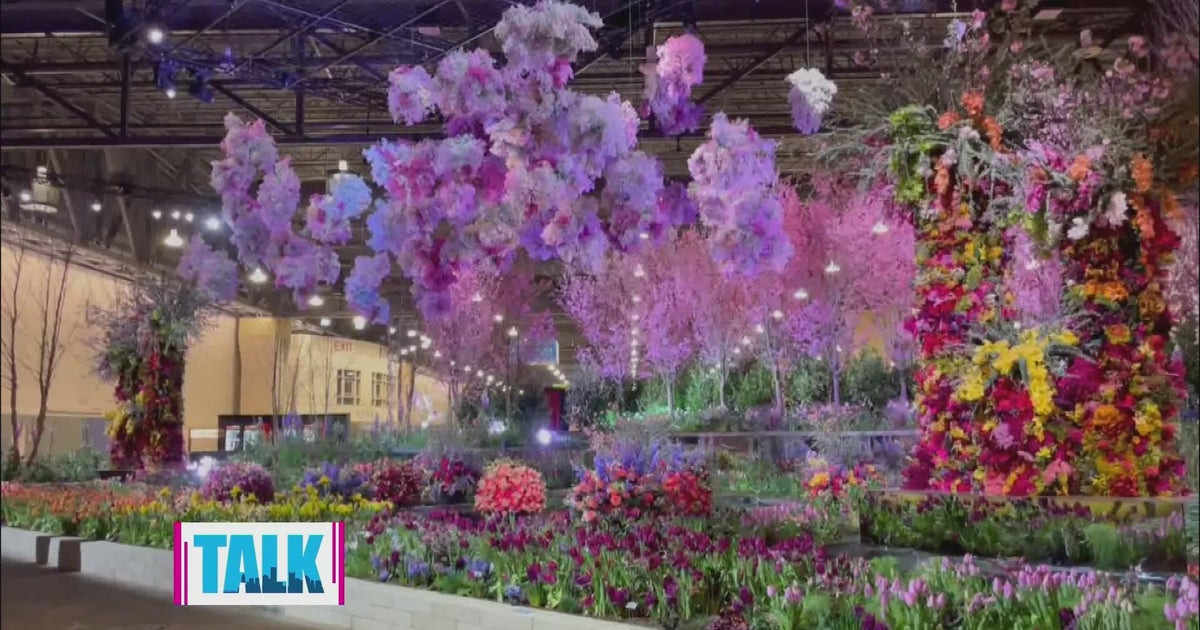 Boaz takes on the Philadelphia Flower Show - CBS Pittsburgh