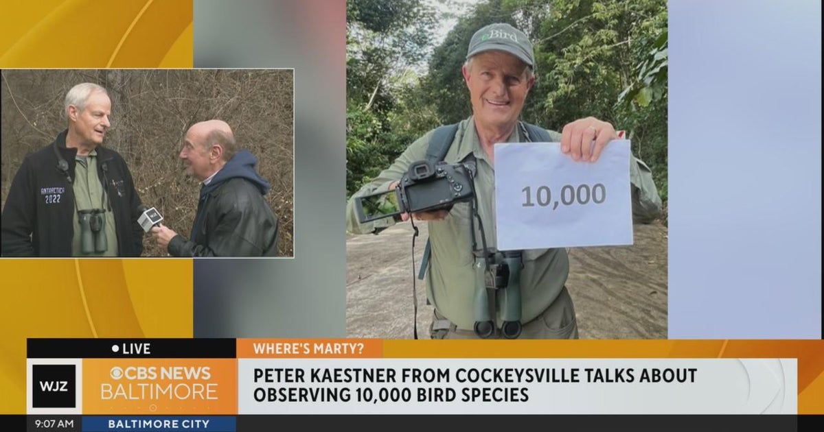 Where's Marty? With Peter Kaestner an accomplished local birder - CBS ...