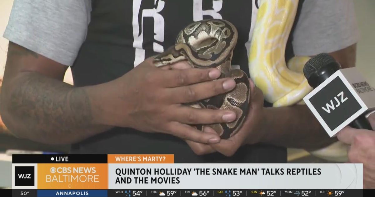 Where's Marty? Getting up close and personal with the Snake Man's ...