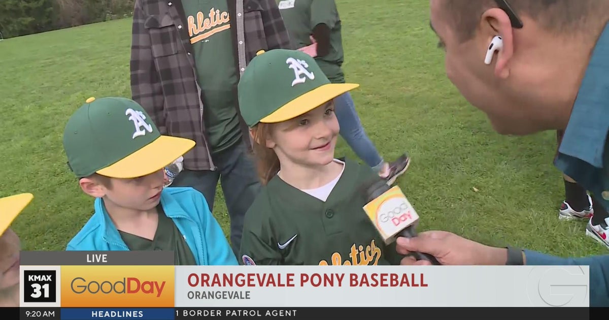 Good Day at your Game - Orangevale Pony Baseball Opening Day! - Good ...