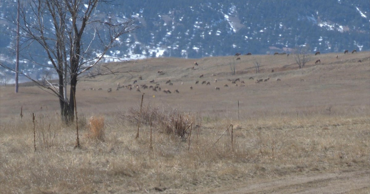 Colorado watchdog groups sue to stop construction of greenway bridge ...