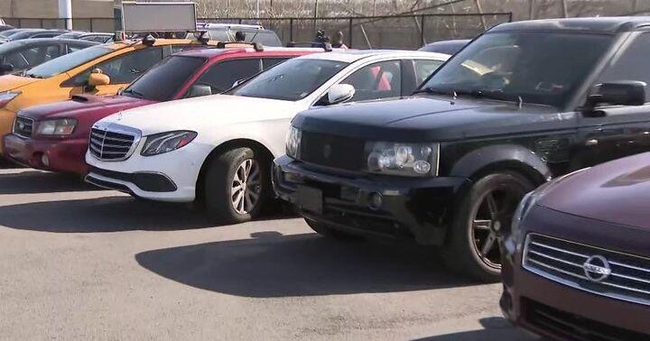 Task force busts 73 cars with missing, fake, or covered license plates ...