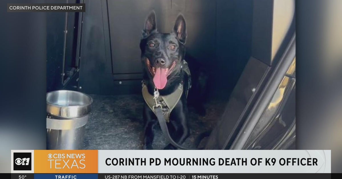 Corinth Police Department mourns loss of K9 officer - CBS Texas