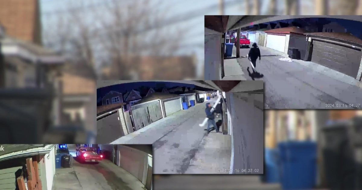 Man arrested after video shows gutters being ripped off Chicago garages ...