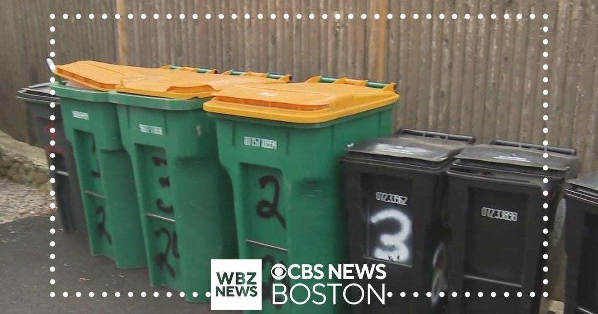 Rat problem in North Attleboro leaves town and residents disagreeing on ...
