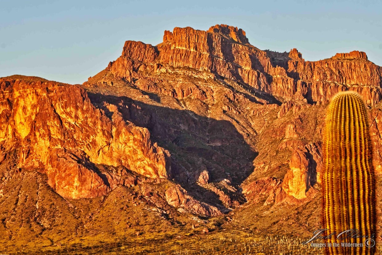 The elusive "Cougar's Shadow" only emerges twice a year – and now is ...