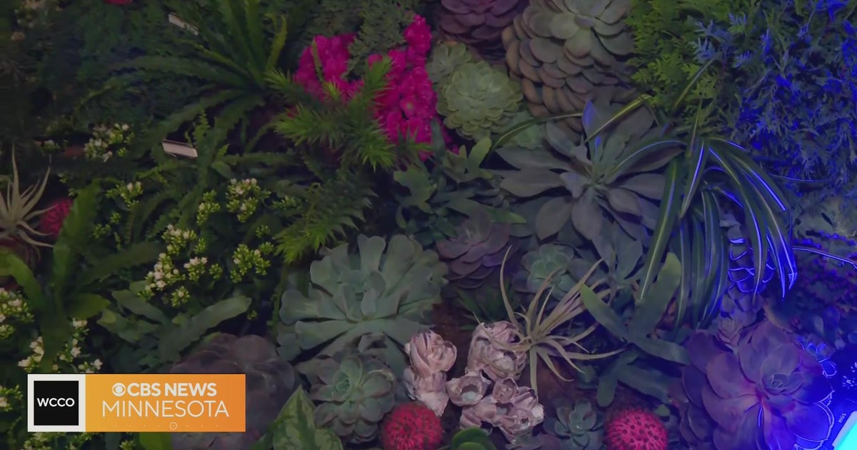 “Into the Deep” flower show opens at Edina’s Galleria - CBS Minnesota