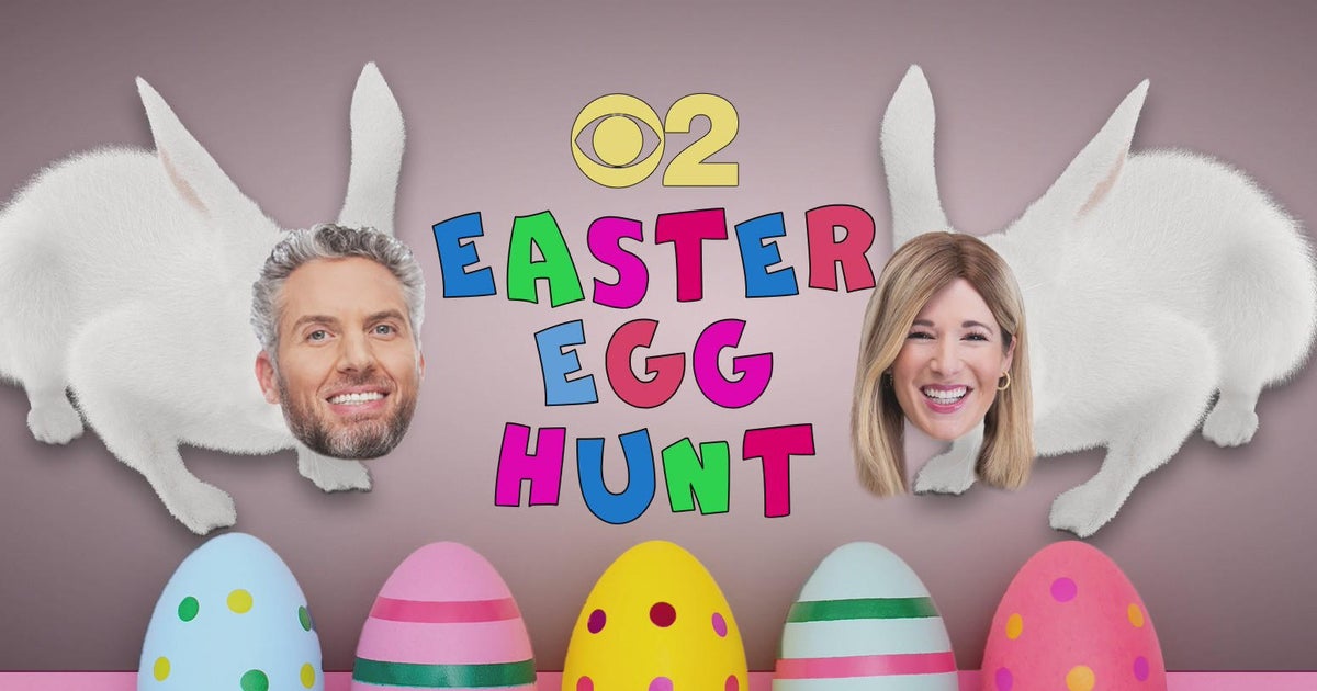 Brad takes on Jackie in CBS 2 Easter Egg Hunt - CBS Chicago