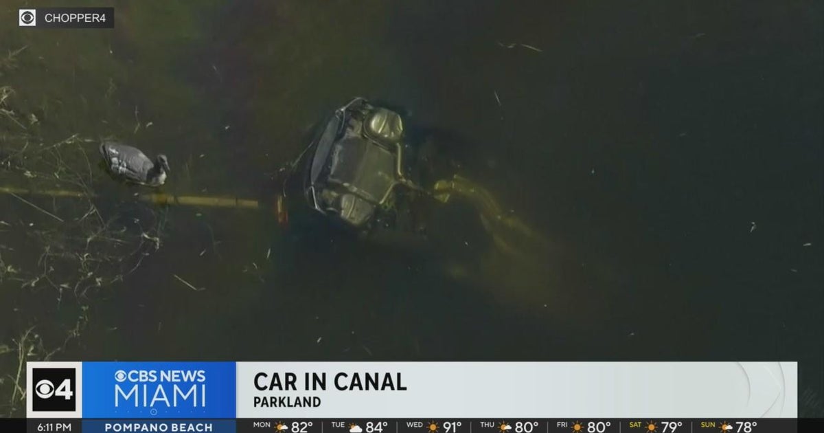 Body pulled from Parkland canal - CBS Miami