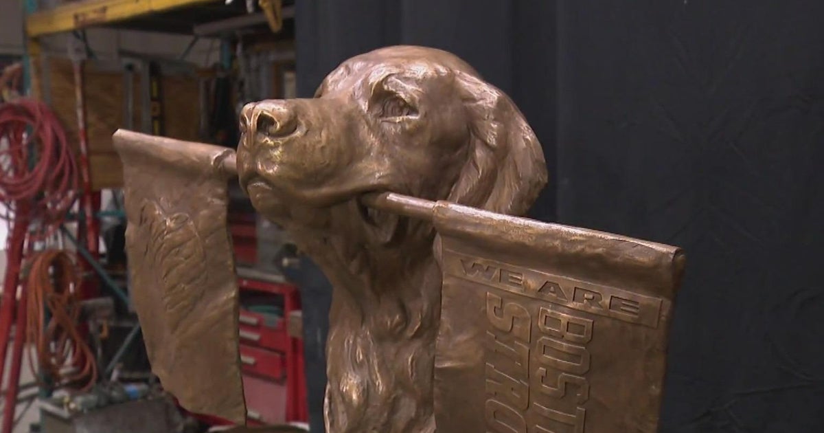 Honoring "The Marathon Dog" - CBS Chicago