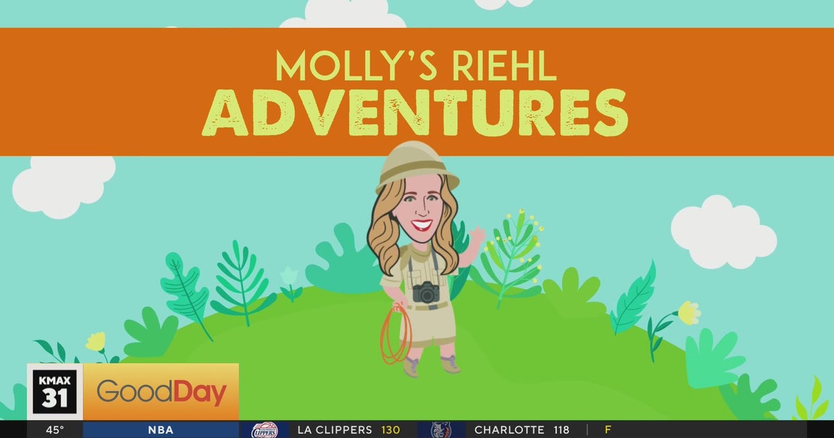 Molly's Riehl Adventures - Good Day Sacramento