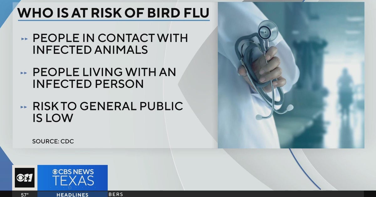 Human case of bird flu discovered in Texas - CBS Texas