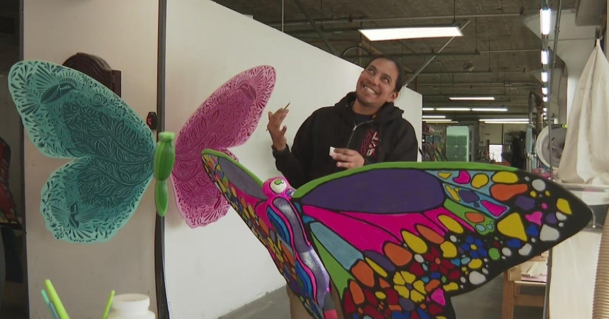 Butterflies created in Chicago take flight at suburban museum - CBS Chicago