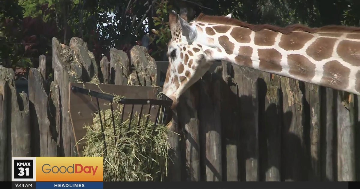 Sac Zoo Happy Hour - Good Day Sacramento