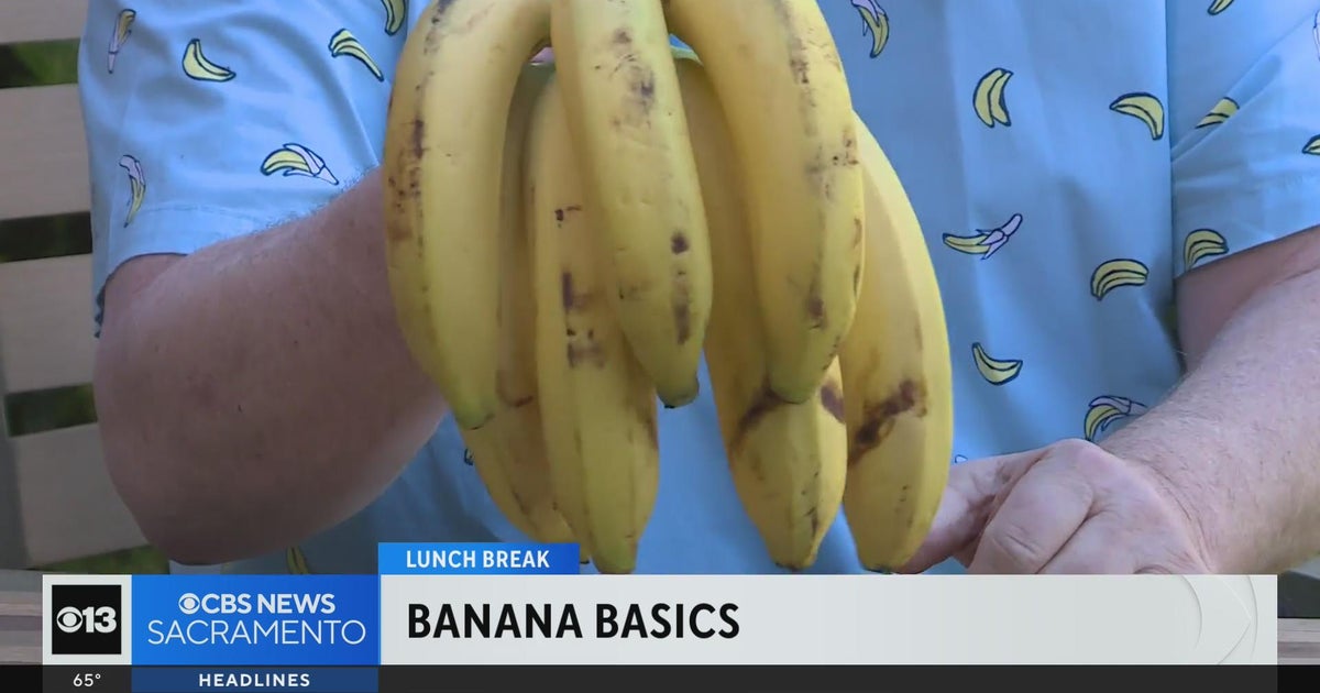 Lunch Break: Banana Basics - CBS Sacramento