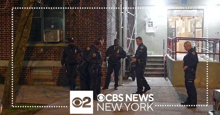 11-year-old shot in Brooklyn may have been part of group of kids playing with gun, police say ...