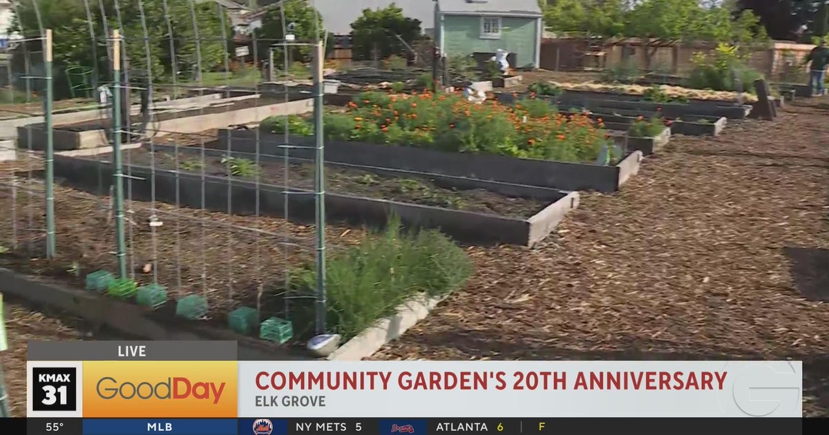 Elk Grove Community Garden's 20th Anniversary - Good Day Sacramento