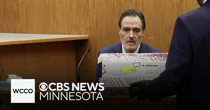 Breaking down Nicolae Miu's testimony in Apple River stabbing trial ...