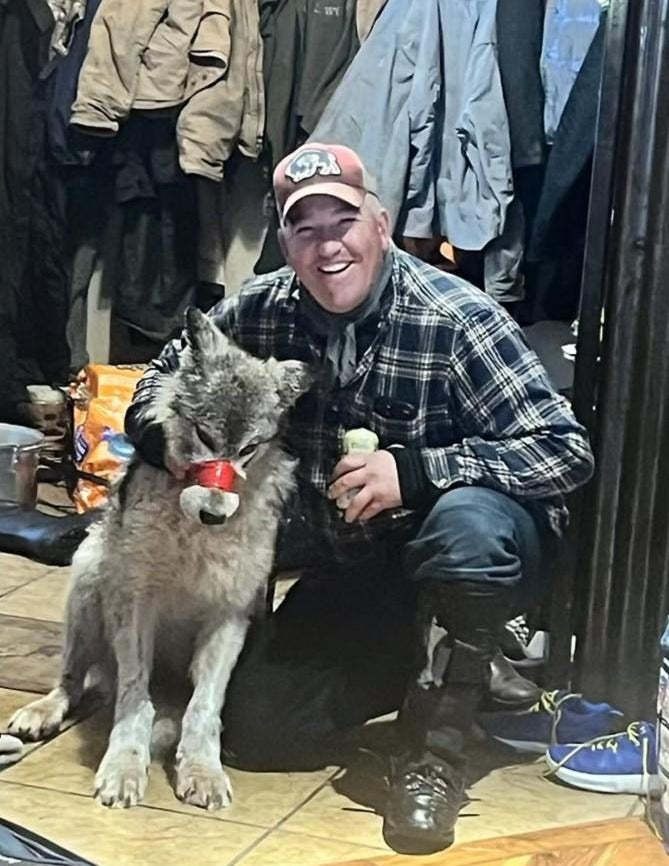 Official: Snowmobiler who abused, killed wolf in Wyoming would face ...