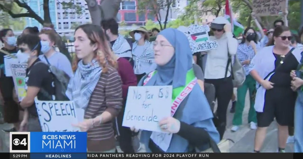 Pro-Palestinian rally held in Miami - CBS Miami