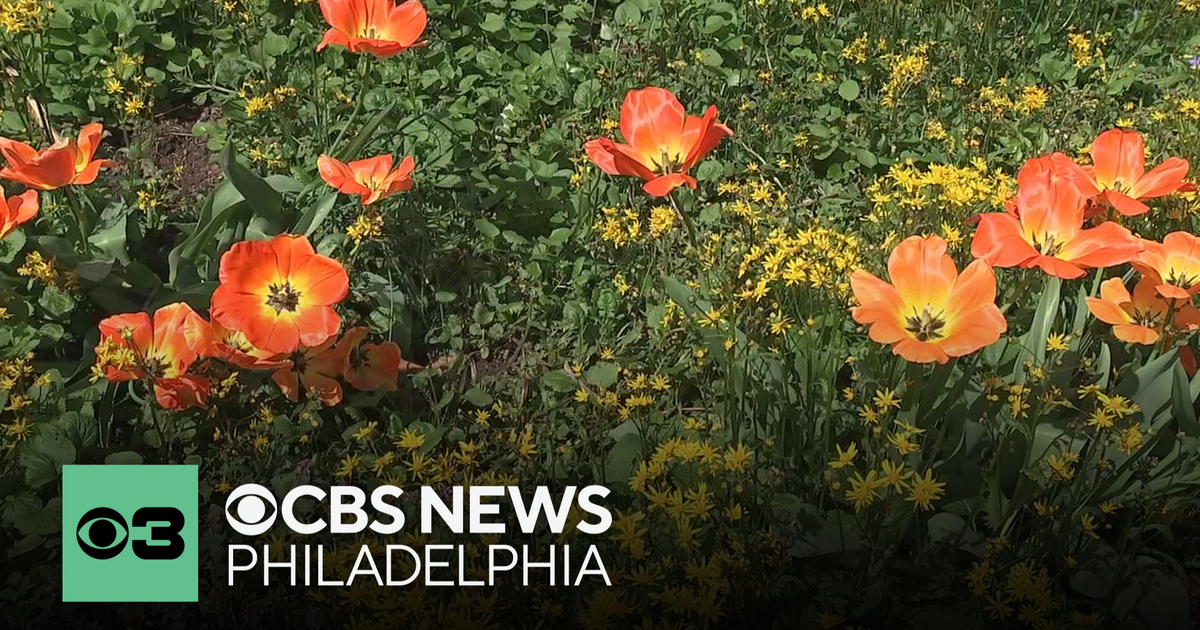 How to treat symptoms of seasonal allergies | Tips from Jefferson ...