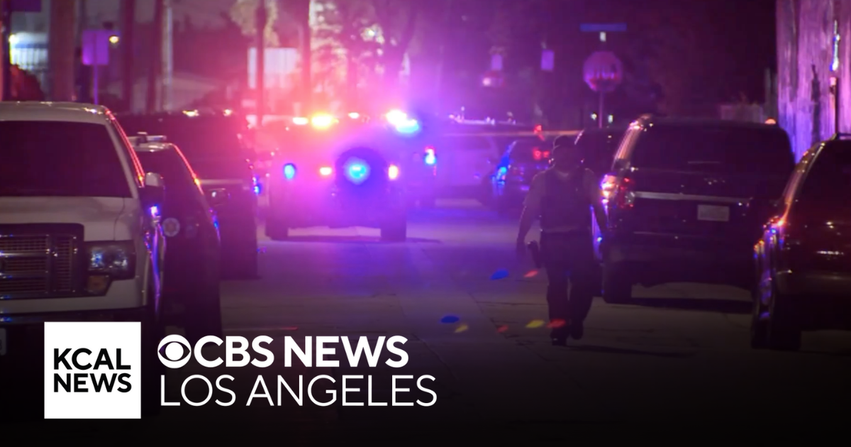 Suspect arrested for shooting LASD K-9 in Compton - CBS Los Angeles