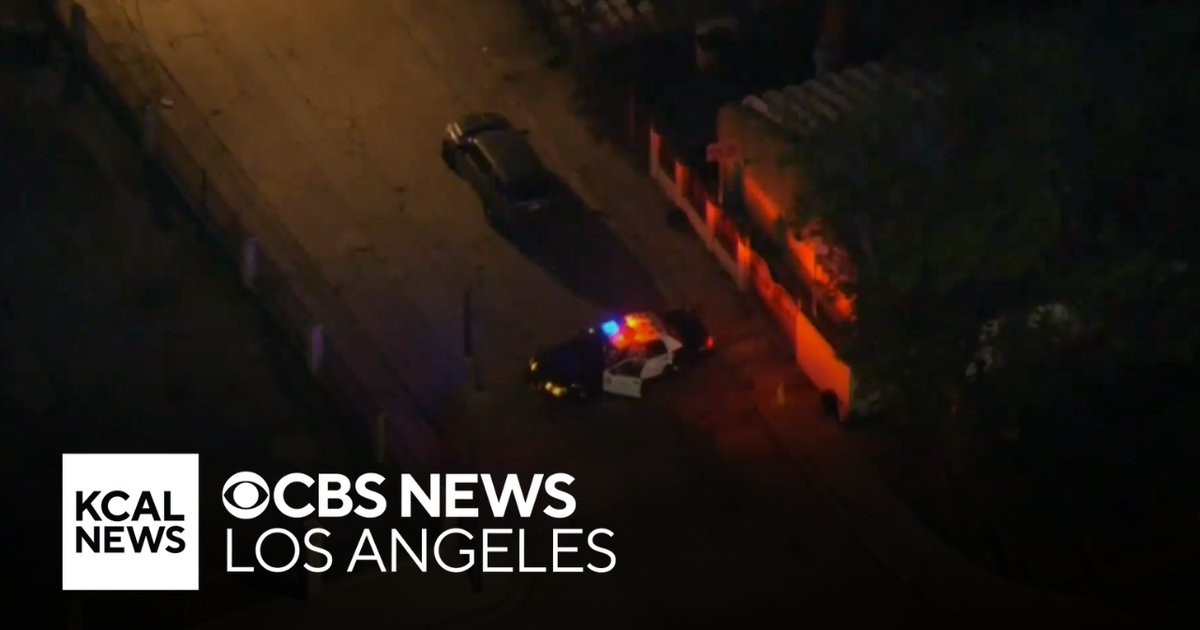 LASD K-9 in stable condition after being shot in Compton - CBS Los Angeles