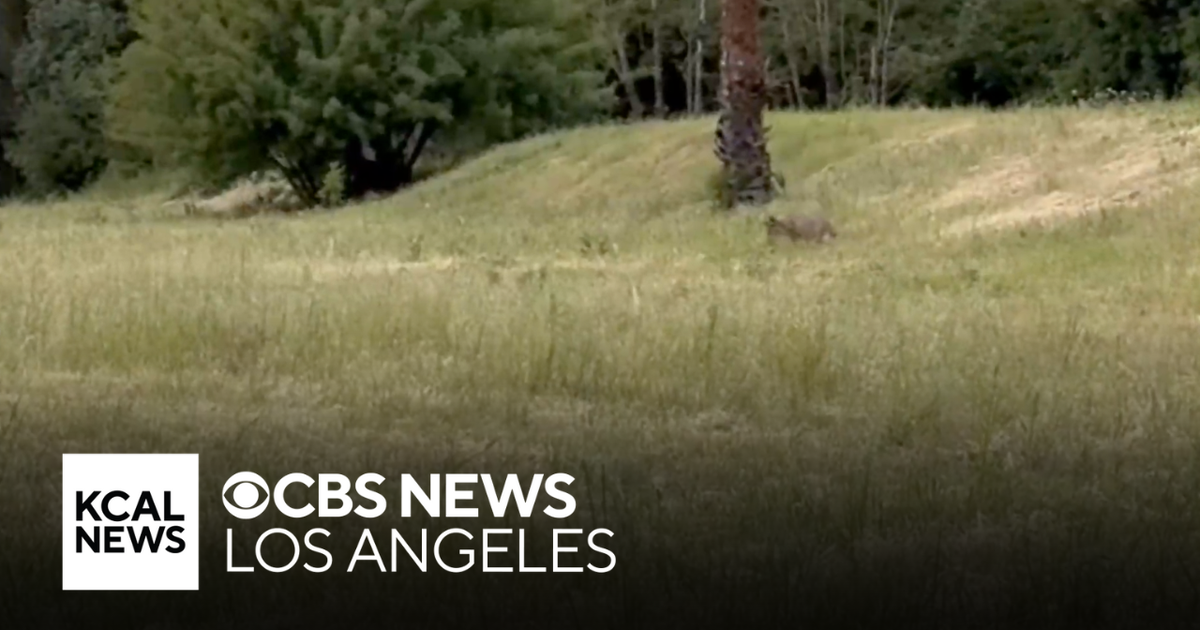Gabrielino Shoshone Nation has big plans for 12 acres of reclaimed land ...