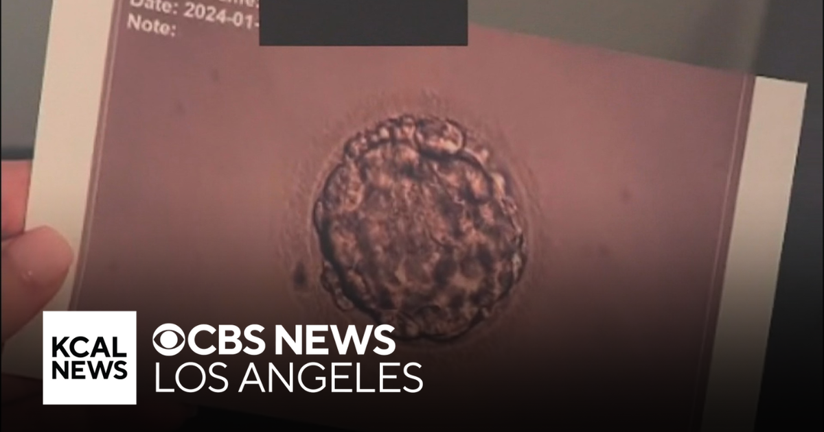 Orange County IVF clinic faces negligence lawsuit from nine families ...
