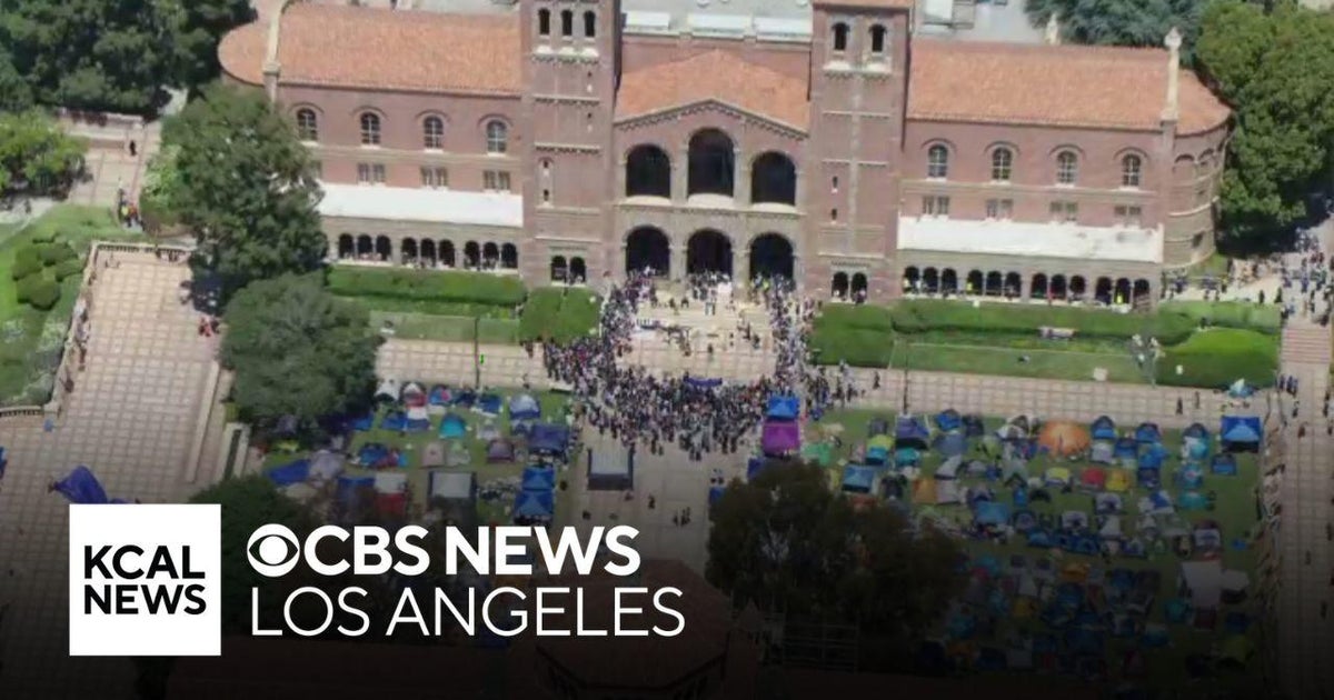 Pro-Palestinian protests continue on US college campuses - CBS Los Angeles
