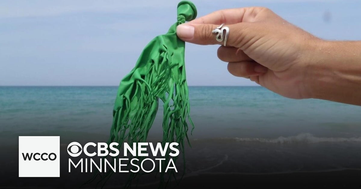 How do balloon releases impact the environment? - CBS Minnesota