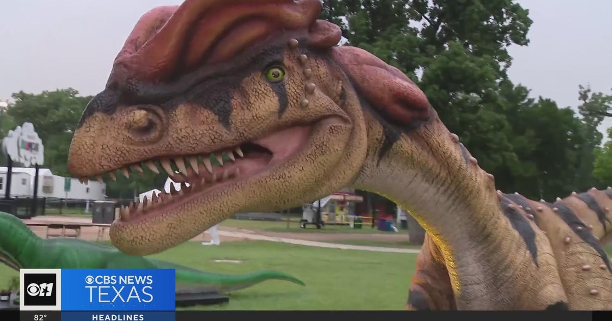 Mayfest kicks off in Fort Worth - CBS Texas