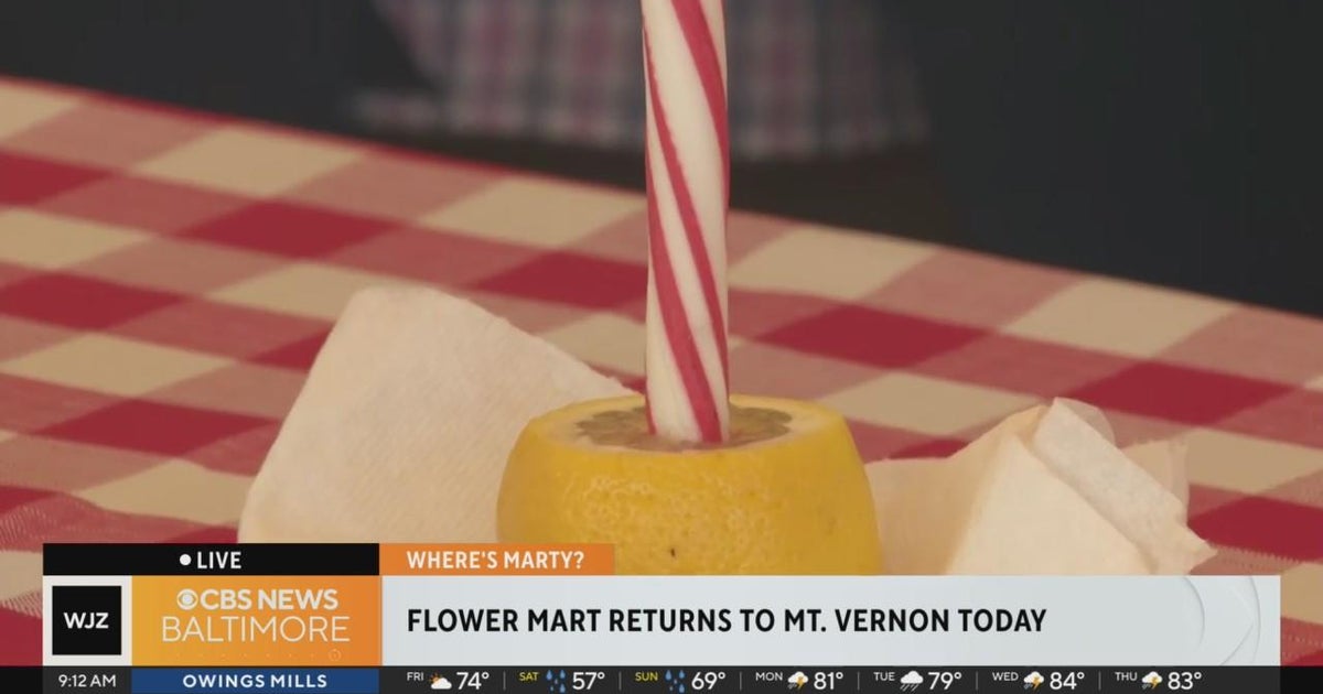 Flower Mart opens today in Mount Vernon, Baltimore | Where's Marty ...