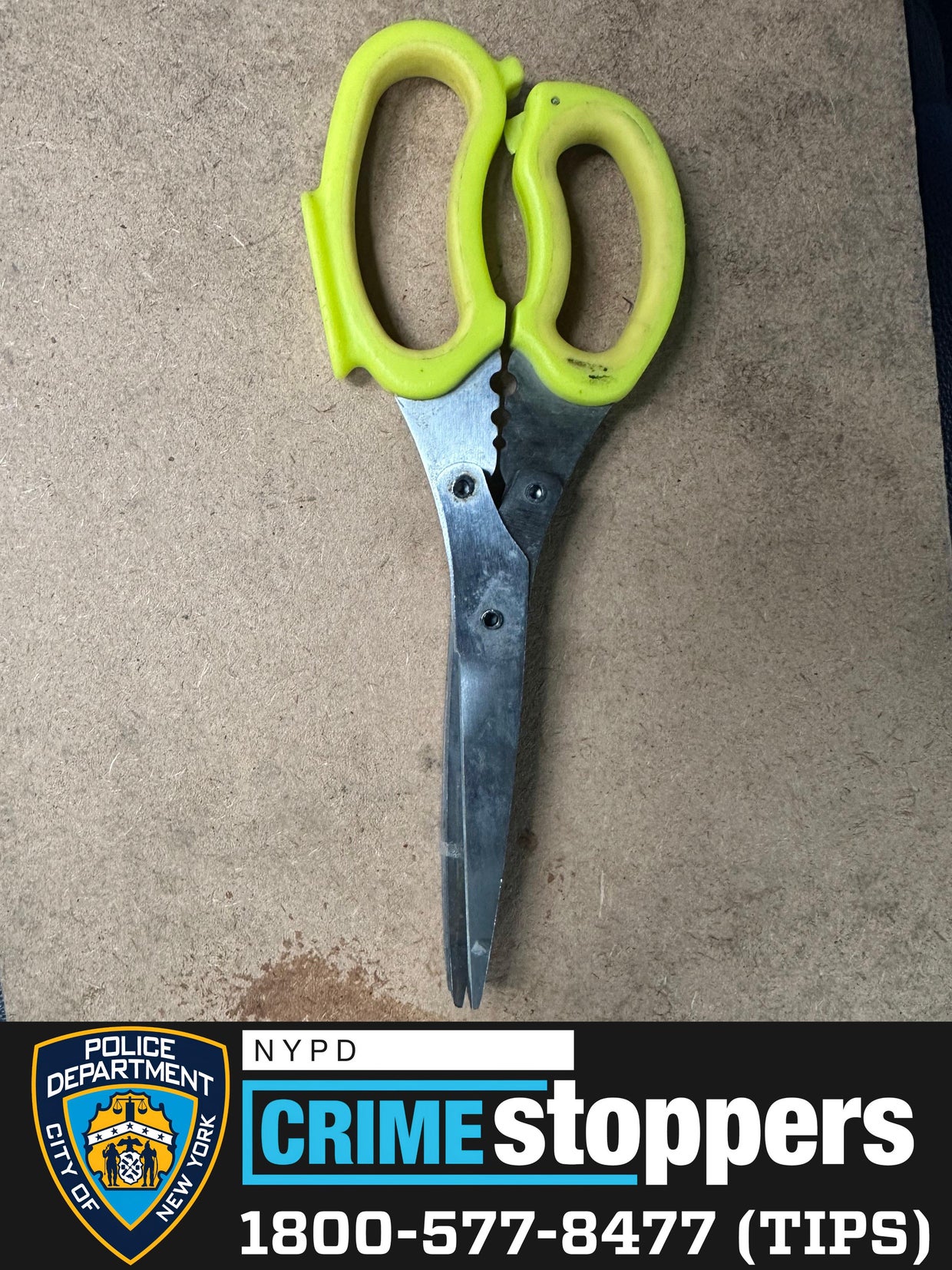 Video shows NYPD officers fatally shoot man in front of his family. His ...