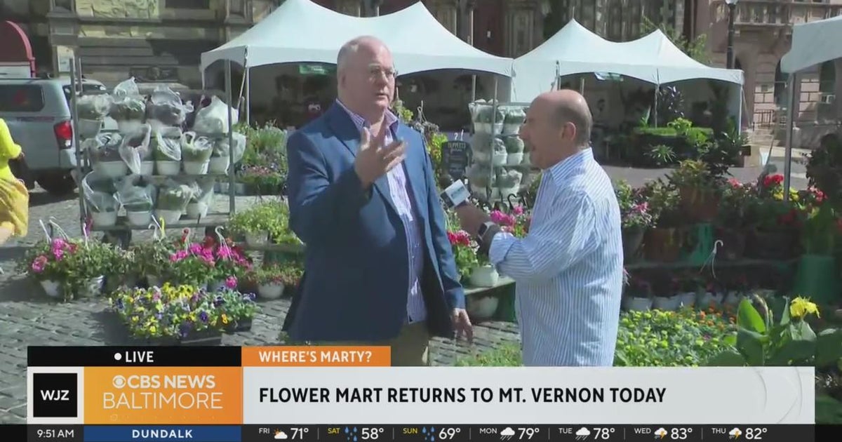 The weather is perfect for sipping on a lemon stick and Flower Mart ...