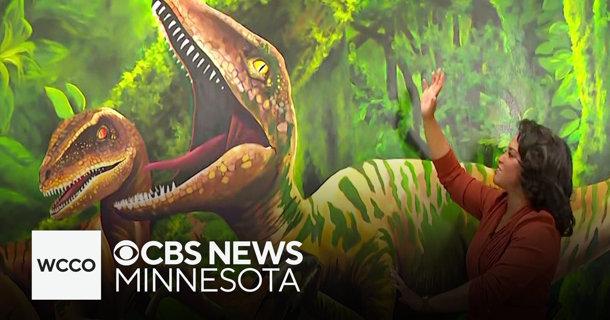 Canvas Convergence unveils fully immersive art experience - CBS Minnesota
