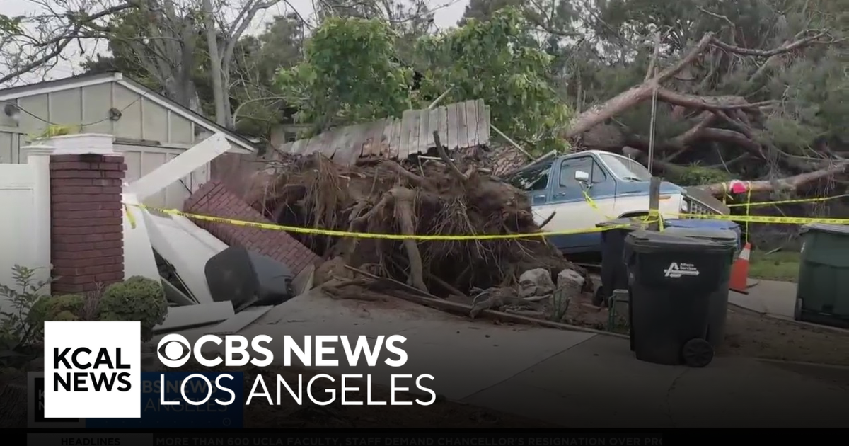 Community rallies to support neighbor after huge tree destroys Monrovia ...
