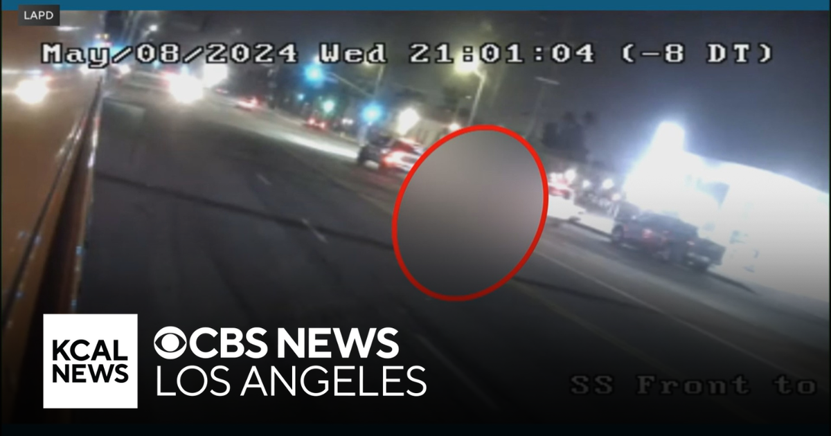 LAPD releases bus footage from unsolved hit-and-run - CBS Los Angeles