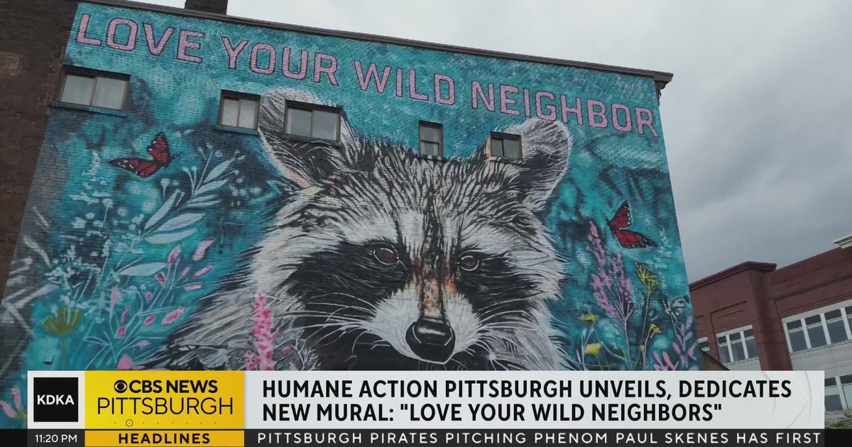 Humane Action Pittsburgh dedicates new mural on the South Side - CBS ...