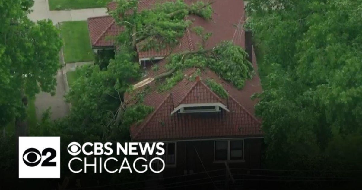 Microburst takes down trees in Chicago area - CBS Chicago