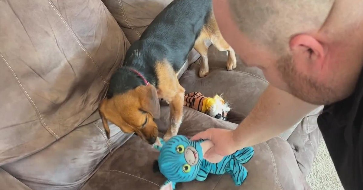 Metro Detroit sheriff deputy says fostering animals is "rewarding ...