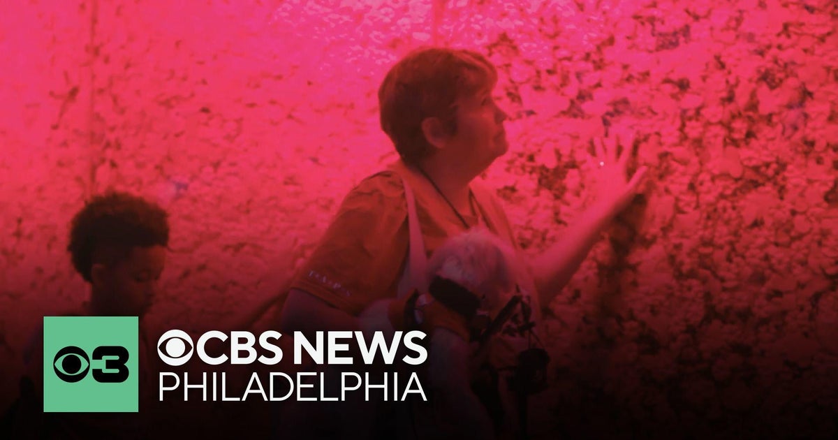 Poppy Wall of Honor returns to National Mall in time for Memorial Day ...