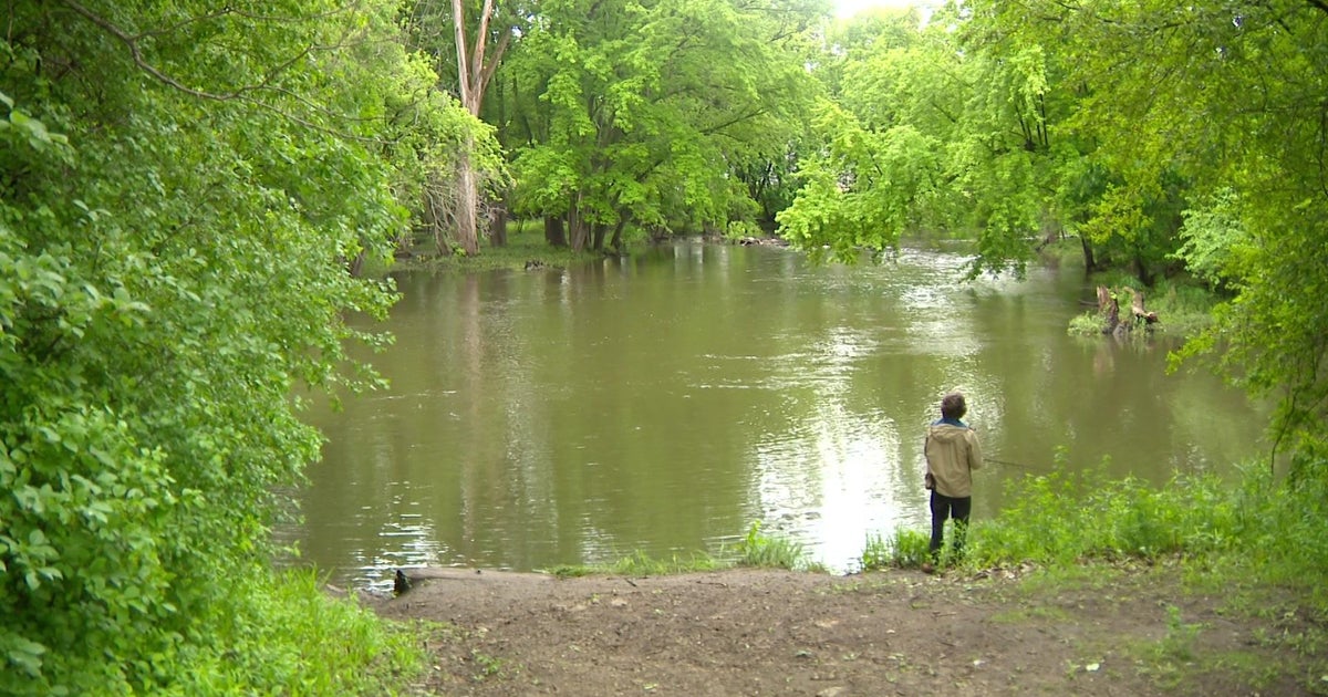 Downed trees in Cannon River capsize kayaks and canoes, leading to ...