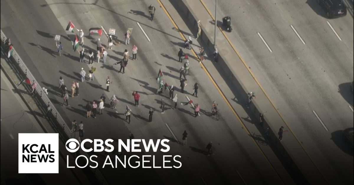 Pro-Palestinian protesters block 101 Freeway in Downtown LA - CBS Los ...